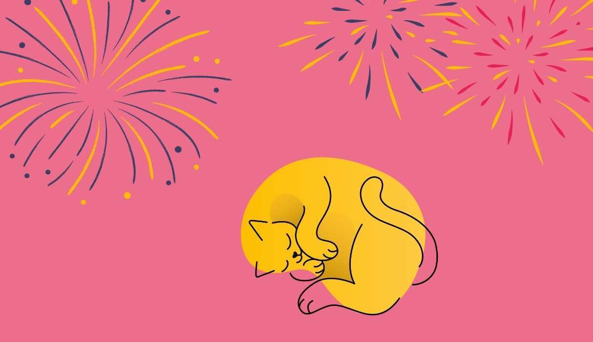 Cats & Fireworks: Helping Our Cats Stay Calm – Lovebug Pet Food