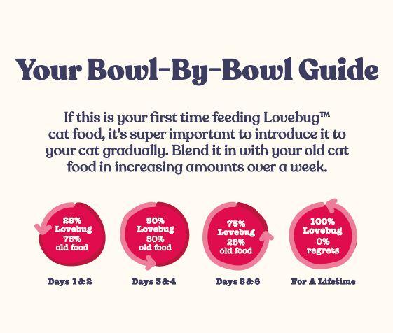 Insect-Based Dry Cat Food – Lovebug Pet Food